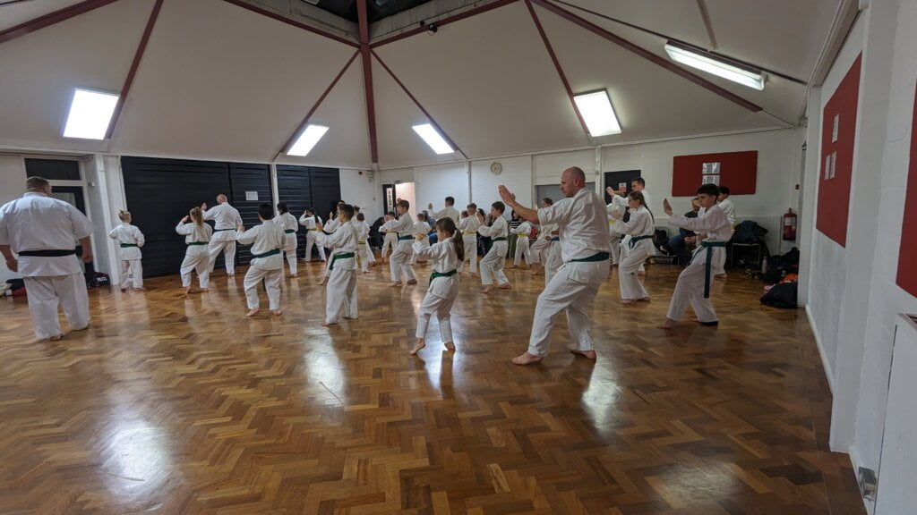 KIHON Techniques Guide | HAITO Karate | Kyokushin Karate Peterborough